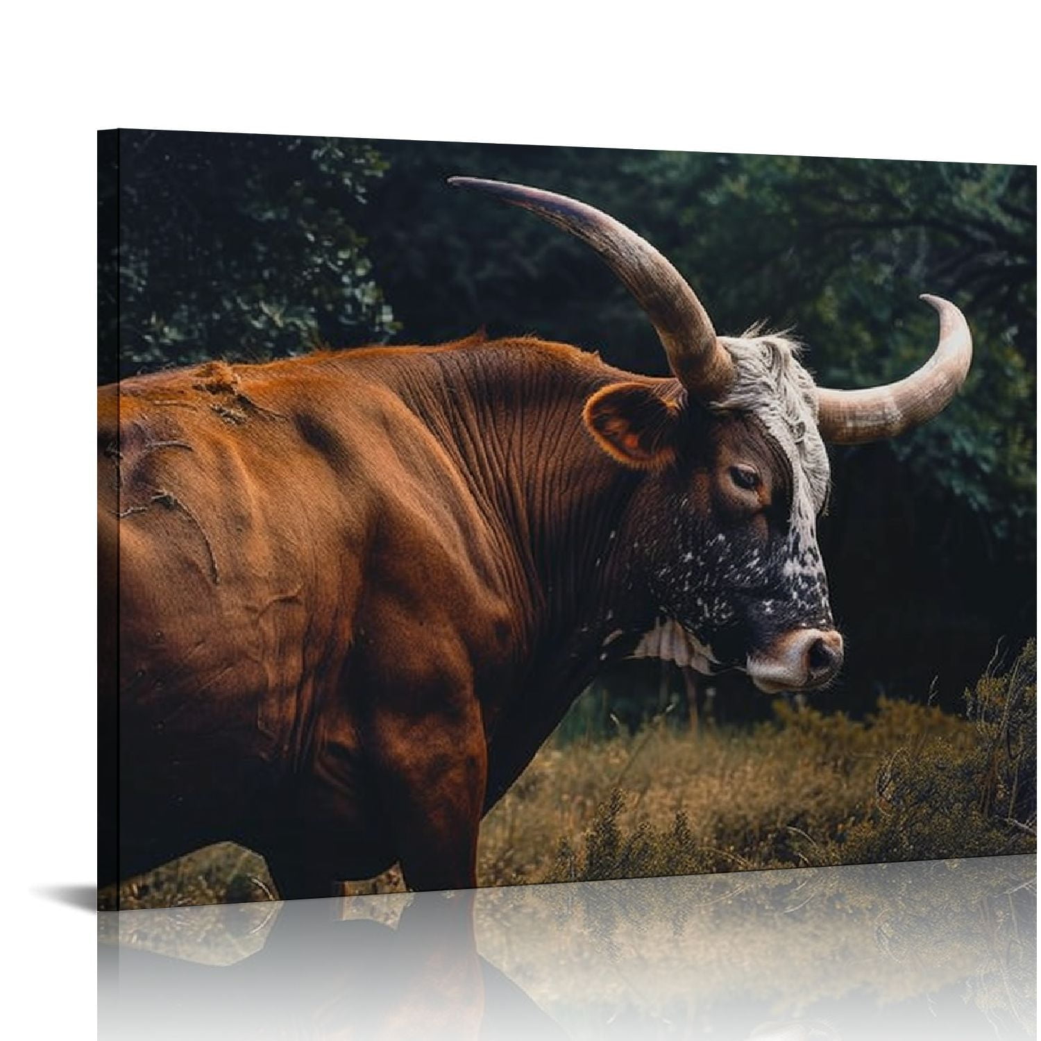 Nawypu Texas Longhorn Cow Canvas Wall Art - Framed Animal Print Home ...