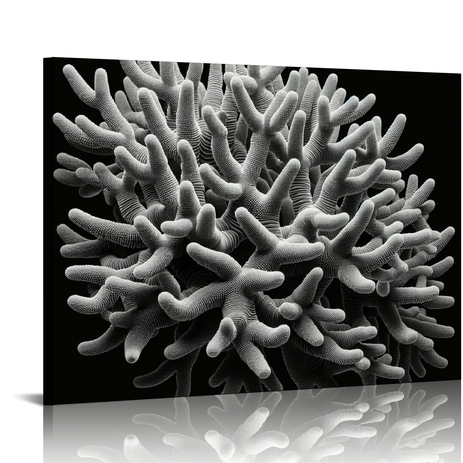 Nawypu -Two-Piece Coastal Coral Canvas Wall Art Print Set, White on ... Nawypu -Two-Piece Coastal Coral Canvas Wall Art Print Set, White on ...
