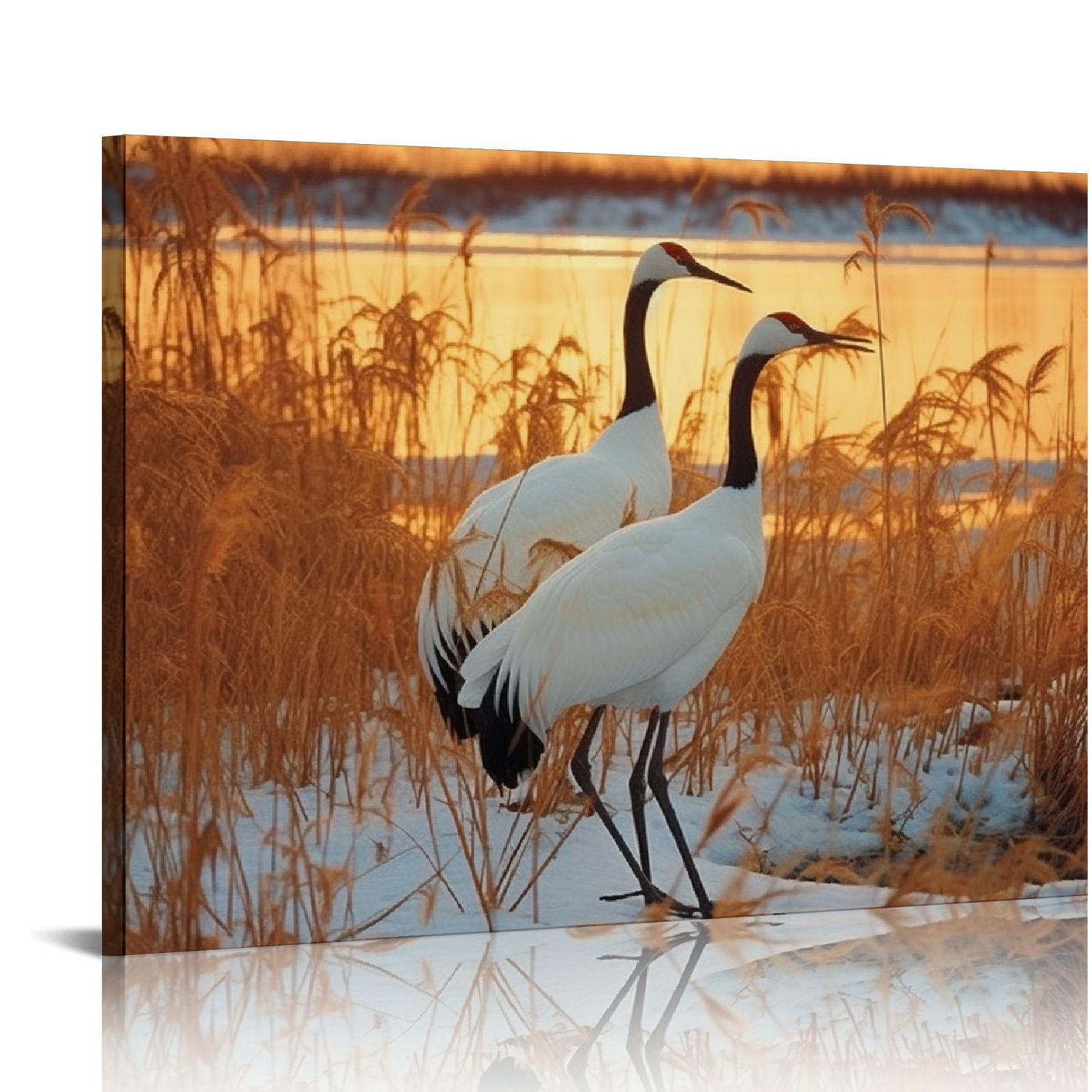 Nawypu Two Red Crowned Crane Poster Canvas Prints Wall Art For Home ...