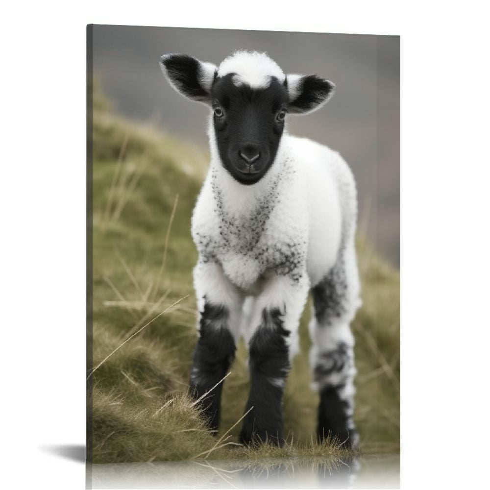 Nawypu Valais Black Nose Sheep Cute Lamb Room Aesthetics Posters Canvas ...