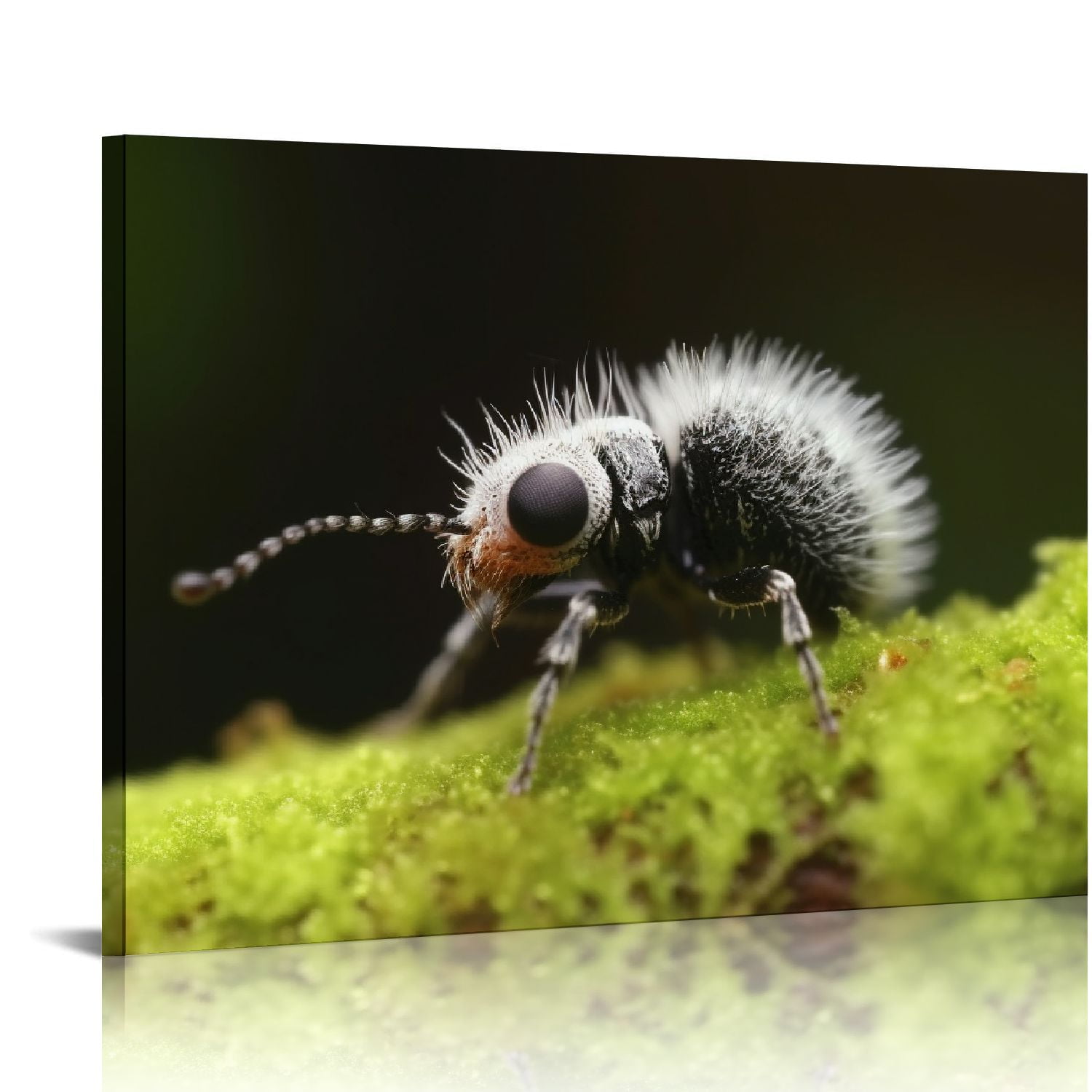 Nawypu Velvet Ants Panda Ant Canvas Poster Bedroom Decor Sports ...
