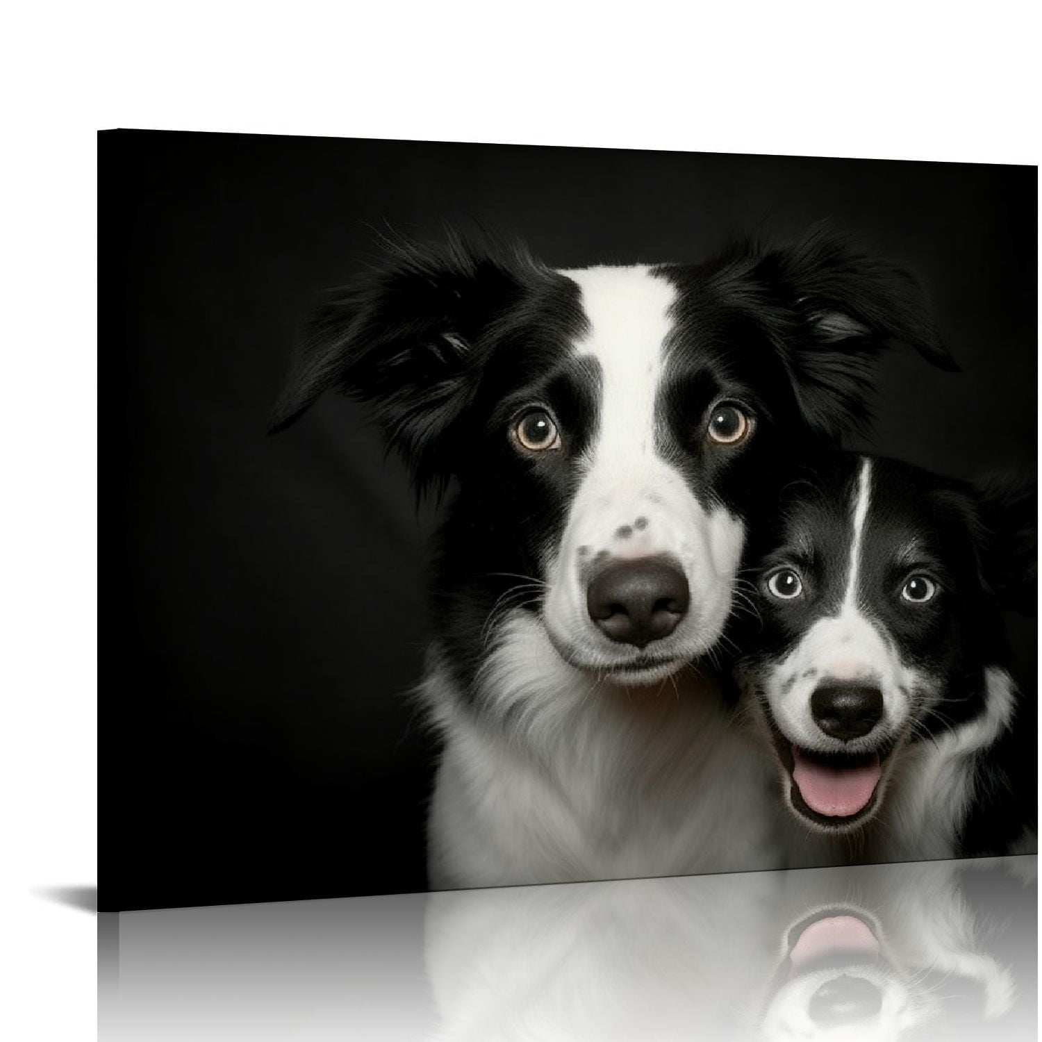 Nawypu Wall Art for Living Room Bedroom Puppy Border Collie Pictures ...