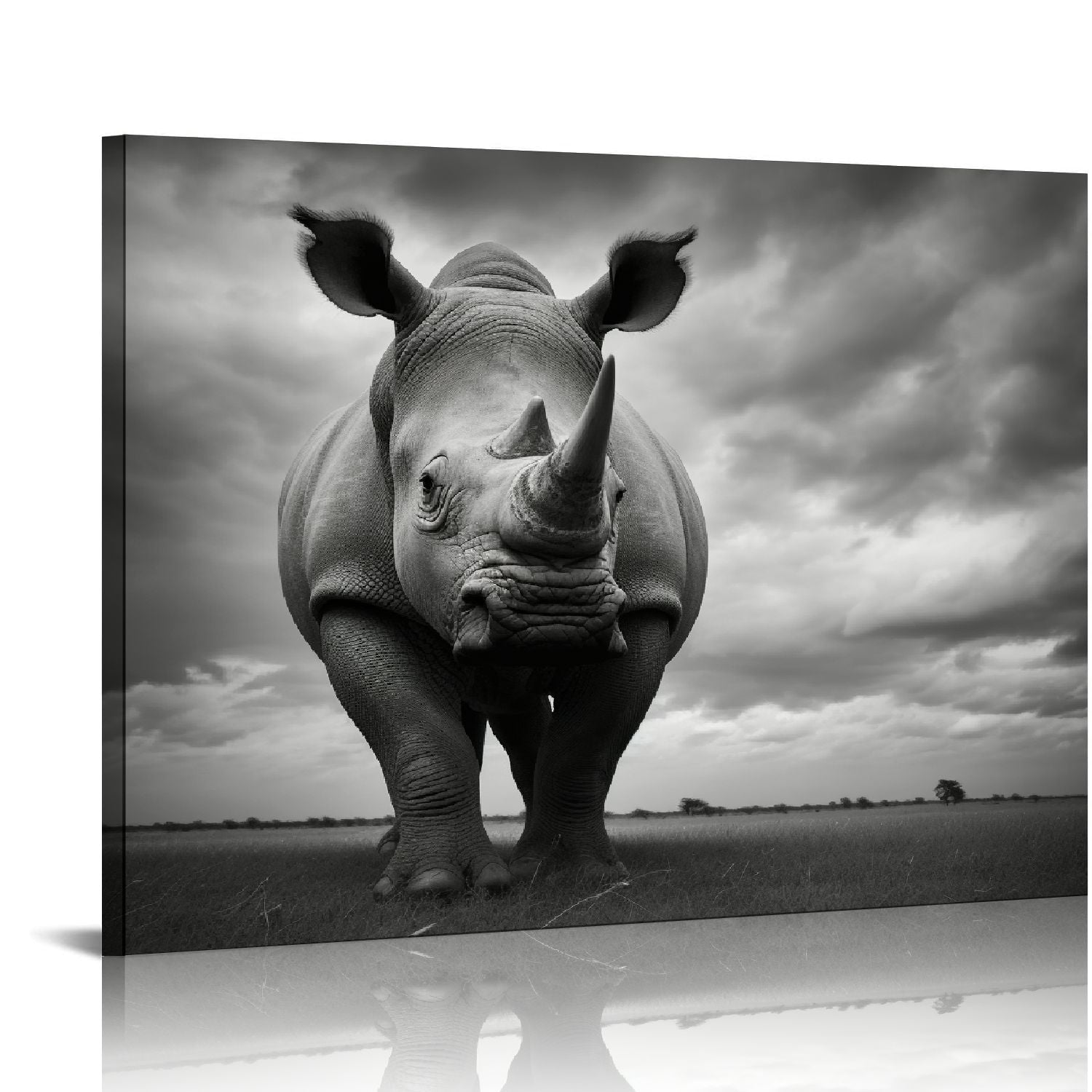 Nawypu Wall Art for Living Room Bedroom Rhino Black And White Pictures ...