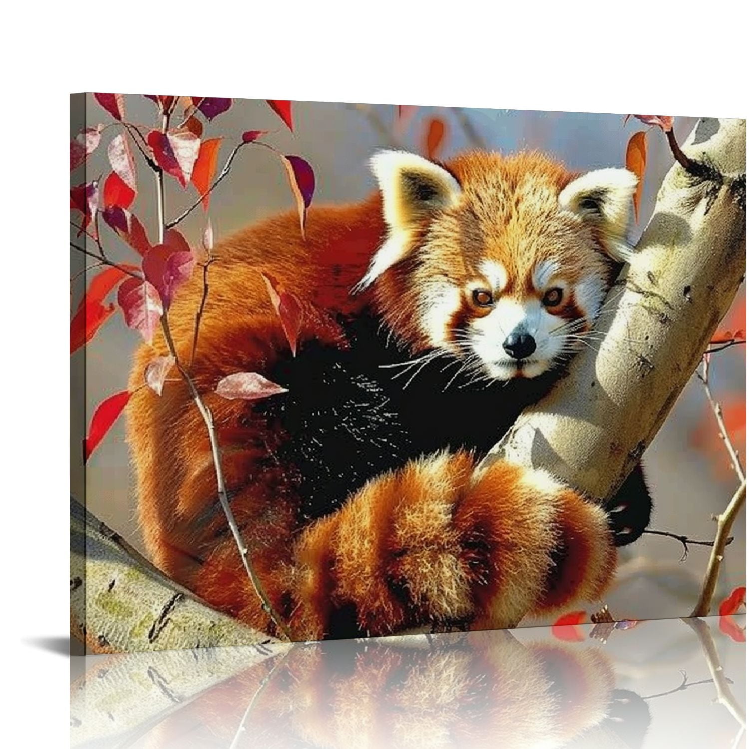 Nawypu Wildlife Himalayan Red Panda Poster Printing Canvas Art and Wall ...