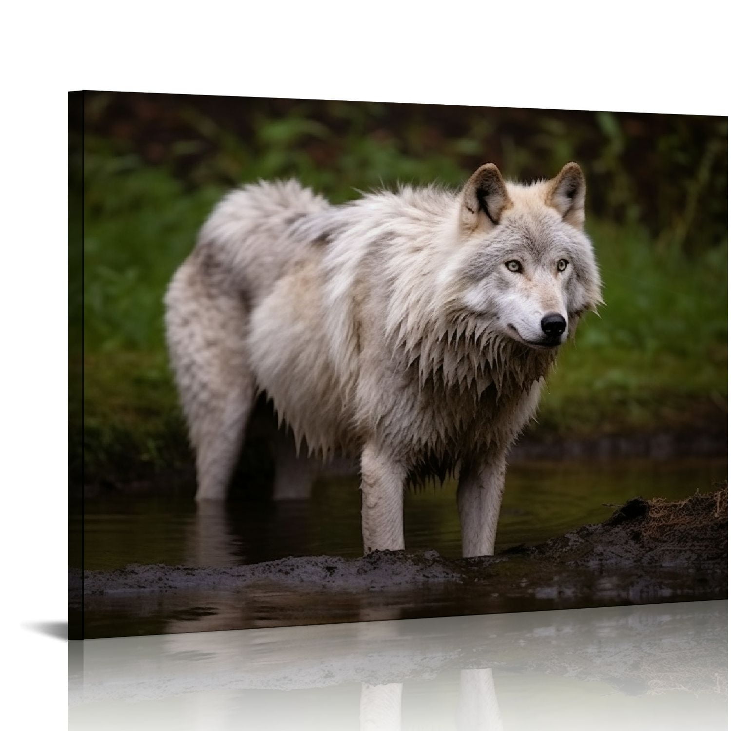 Nawypu Wolf Canvas prints Wall Art Photography Poster Printing Living ...