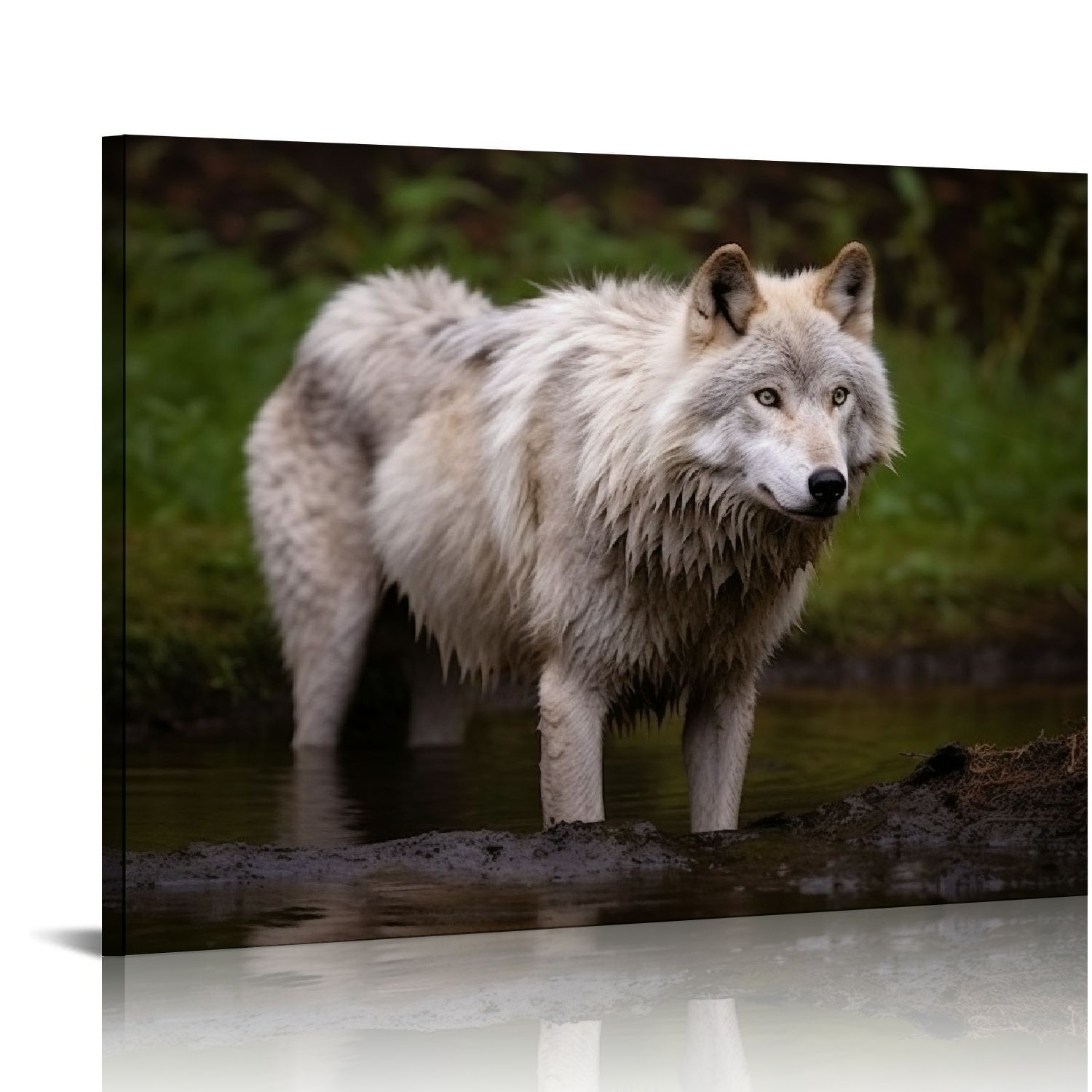 Nawypu Wolf Canvas prints Wall Art Photography Poster Printing Living ...