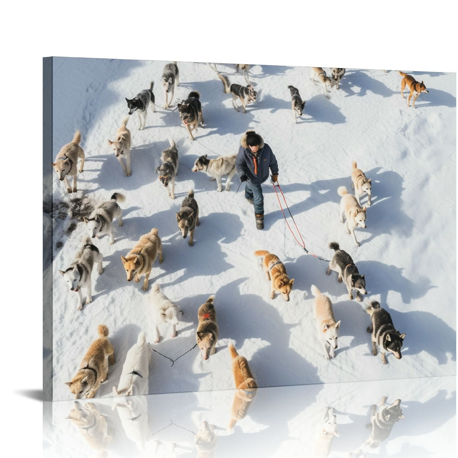 Nawypu Wolves In The Snow - Wolf Canvas Wall Art - Wolf Poster Wildlife ...