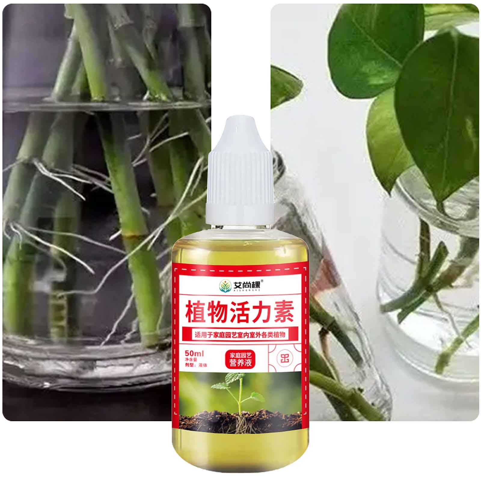 Naxoaeo Clearance LUSH Houseplant Fertilizer 50ml Concentrated Liquid ...