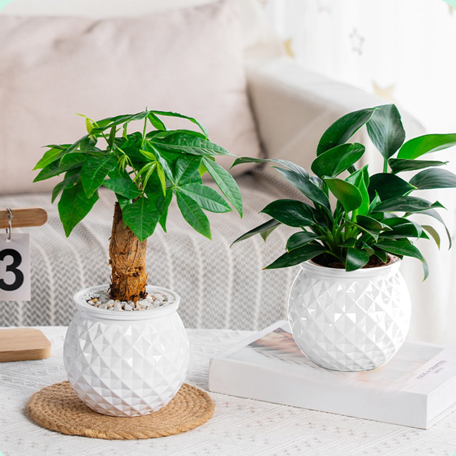 Naxoaeo Self Watering Plant Pots, Small Plant Pots, Clear Self Watering ...