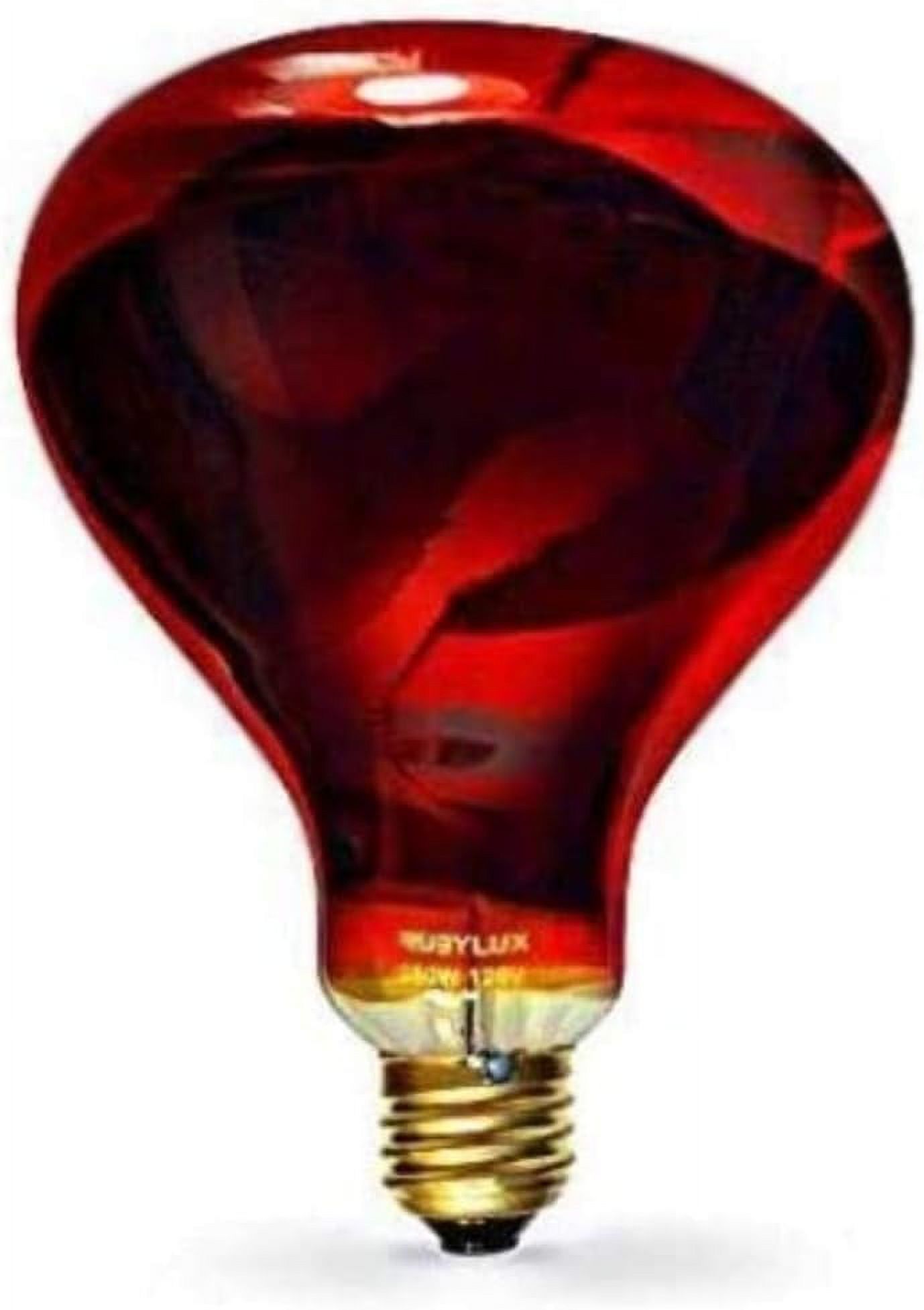Near Infrared Bulb - Grade B 120V for US & Canada (1 Pack) - Walmart.com