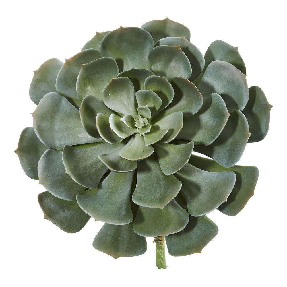 Nearly Natural 13in. Giant Echeveria Succulent Pick Artificial Plant ...