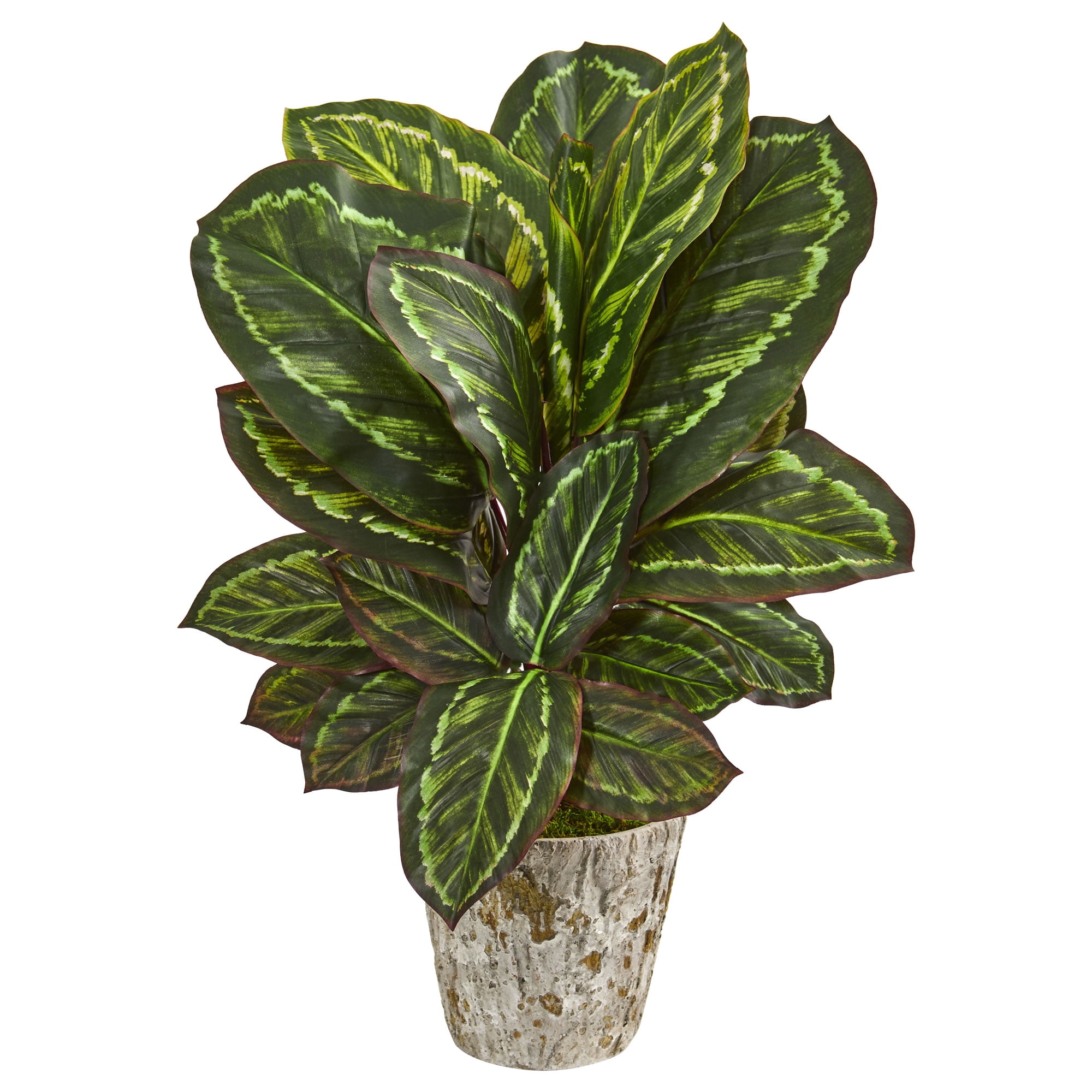 Nearly Natural 26-In. Maranta Artificial Plant in Weathered Oak Planter ...
