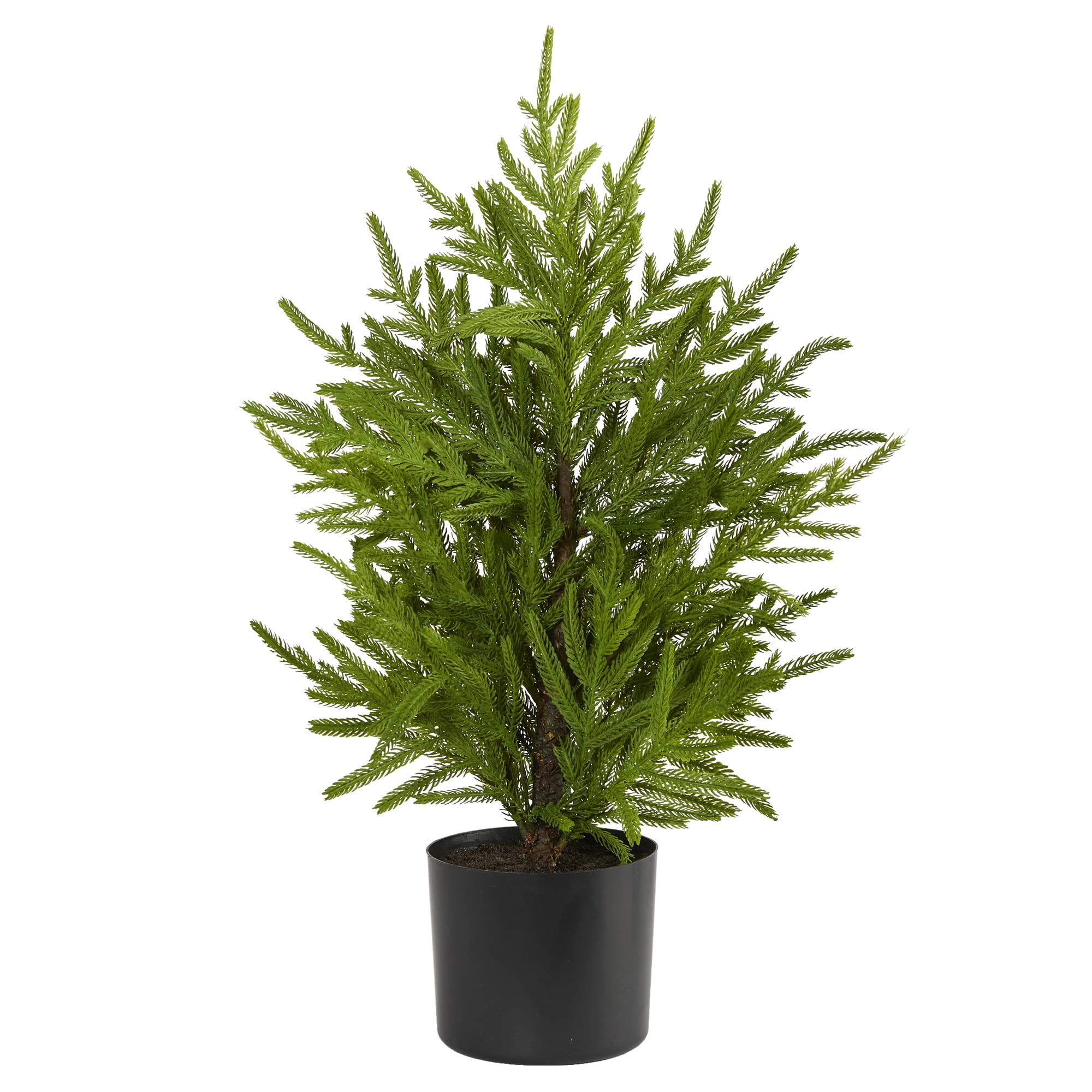 Nearly Natural 2ft. Norfolk Island Pine Natural Look Artificial Tree in ...