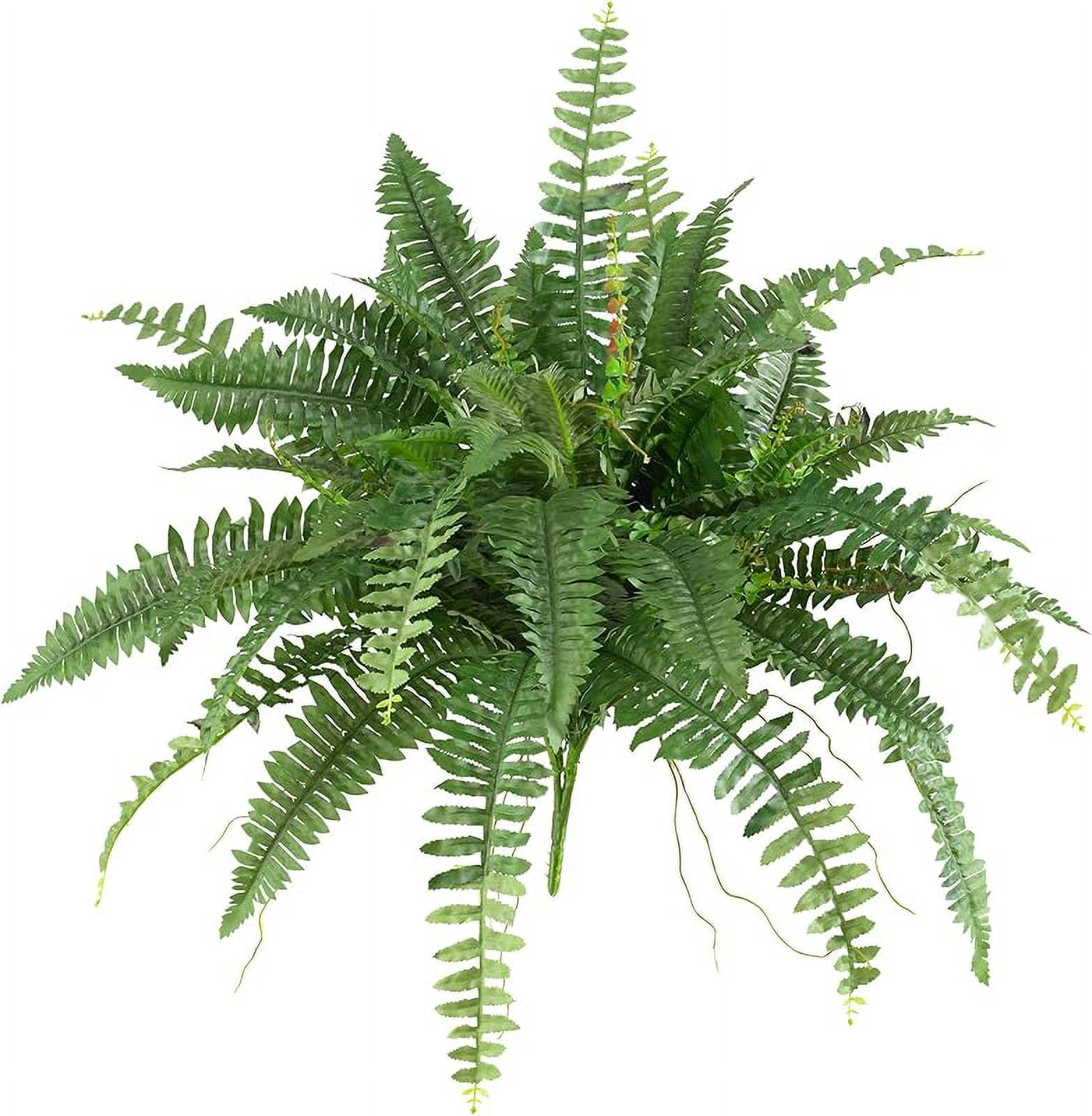 Nearly Natural 40IN Artificial Boston Fern Large Hanging Plant, Set of ...