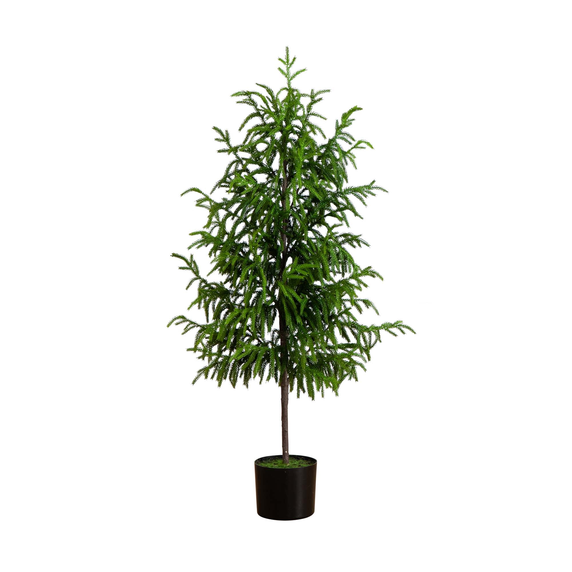 Nearly Natural 4ft. Artificial Norfolk Pine Tree - Walmart.com