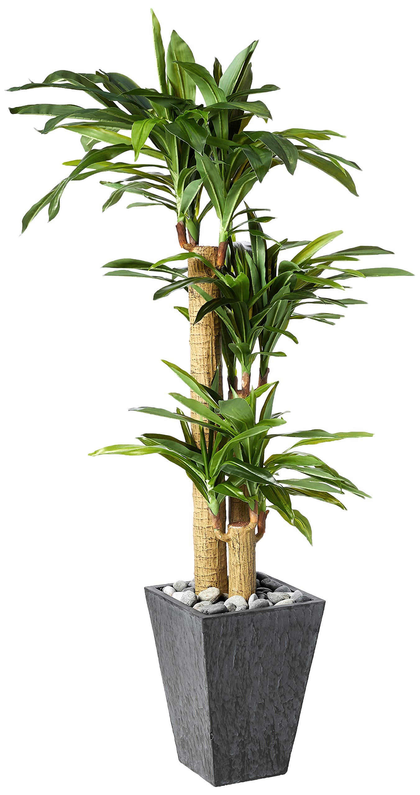 Nearly Natural 5.5ft. Cornstalk Dracaena Artificial Plant in Slate ...