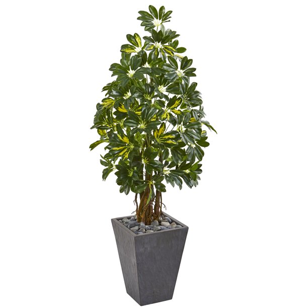 Nearly Natural 57-In. Schefflera Artificial Tree in Slate Planter ...