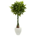 Nearly Natural 5720 4.5 ft. Money Artificial Tree in White Oval Planter ...