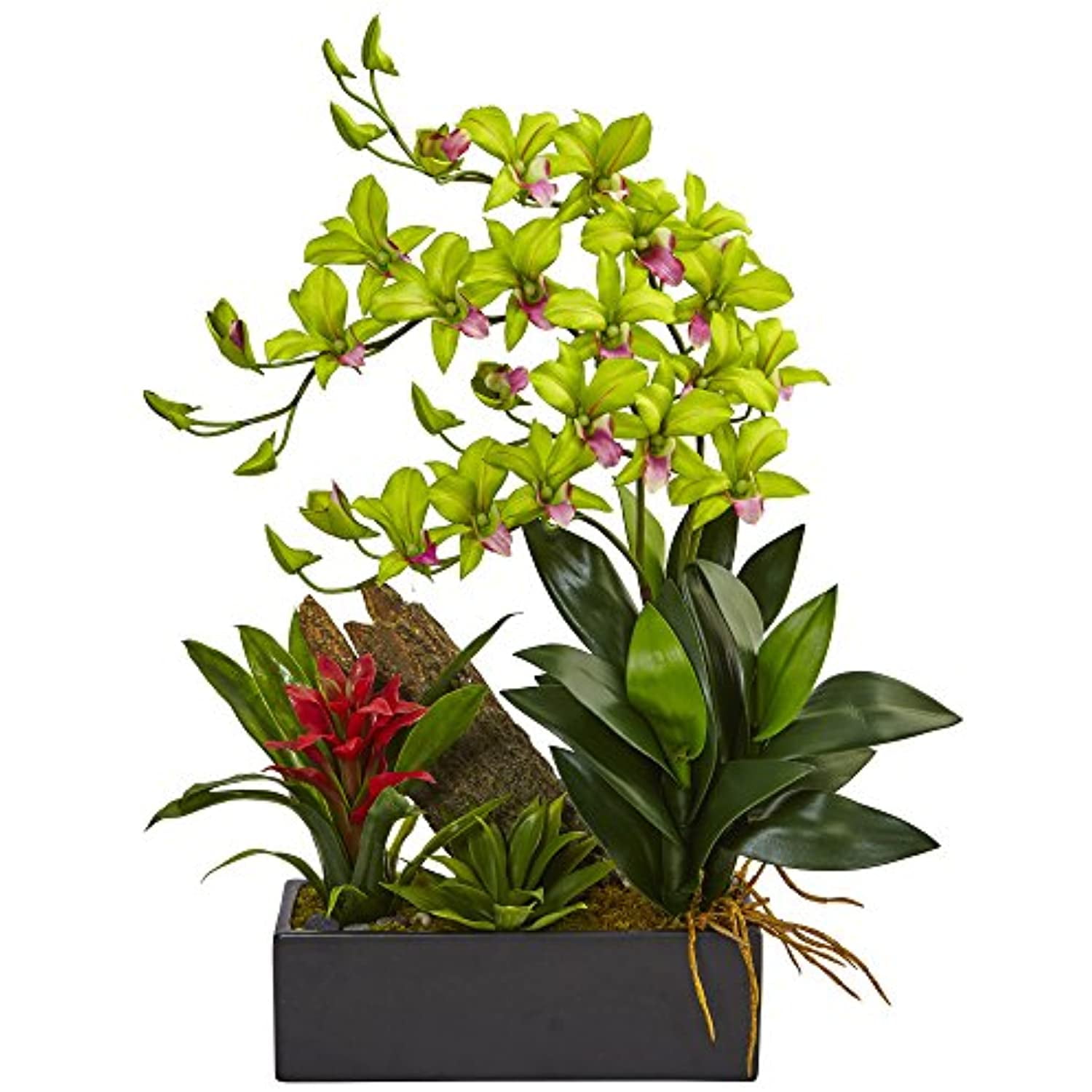 Dendrobium and Bromeliad Arrangement - Walmart.com