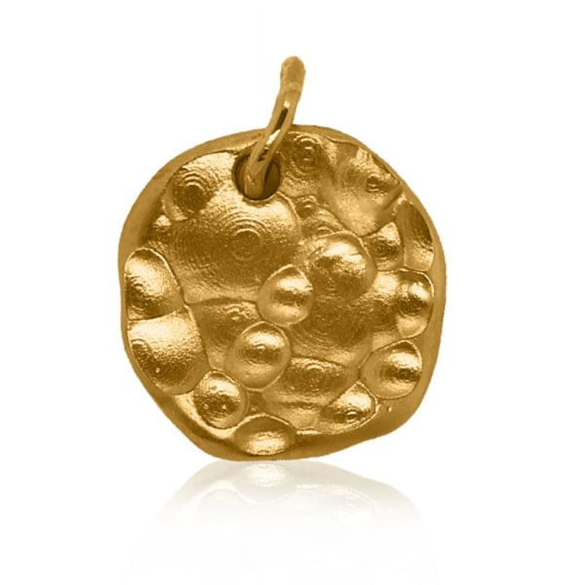 Nebü Gold Charm - Raw Disc **Matte Finish** - 9.3 Grams, 24K Pure ...