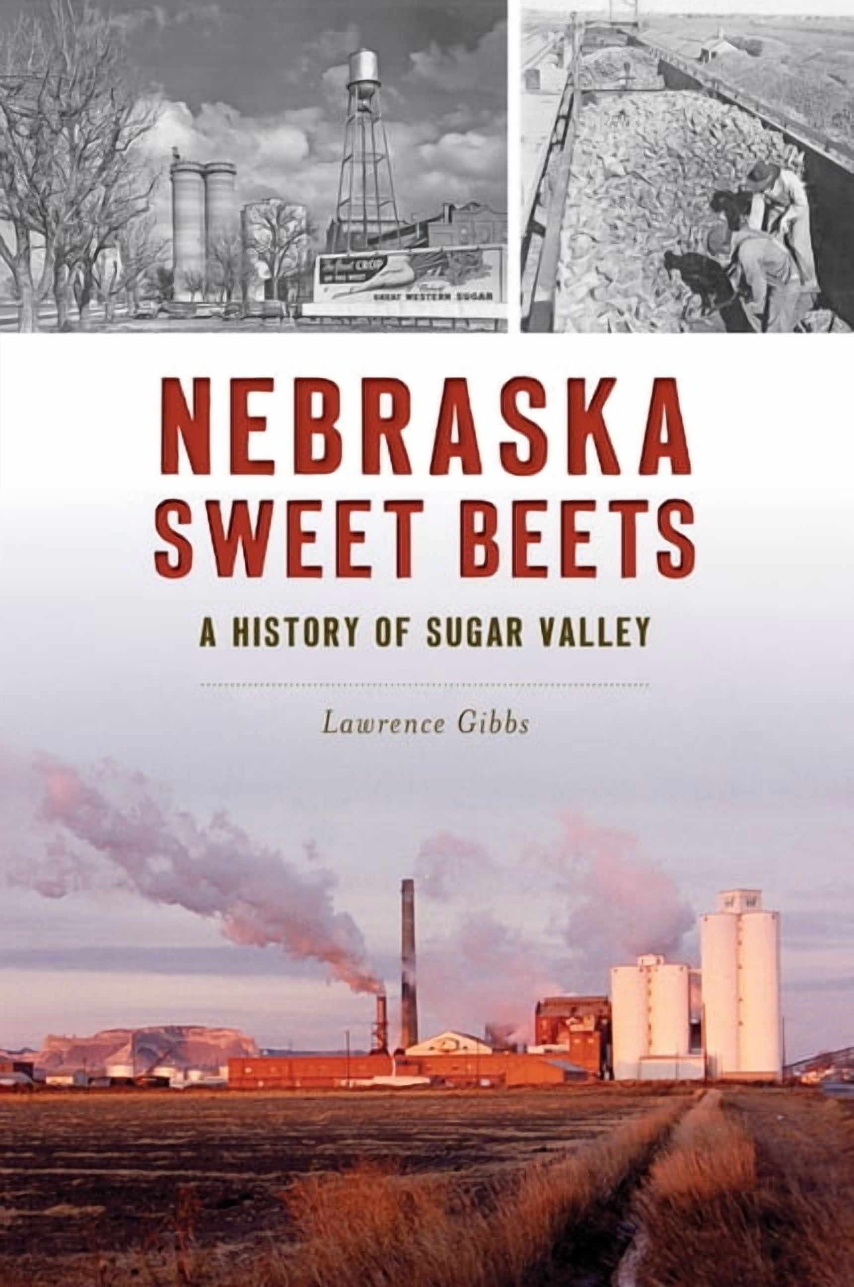 Nebraska Sweet Beets: A History of Sugar Valley, (Paperback) - Walmart ...