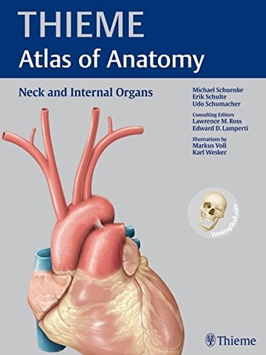 Pre-Owned Neck and Internal Organs (THIEME Atlas of Anatomy) (Thieme ...
