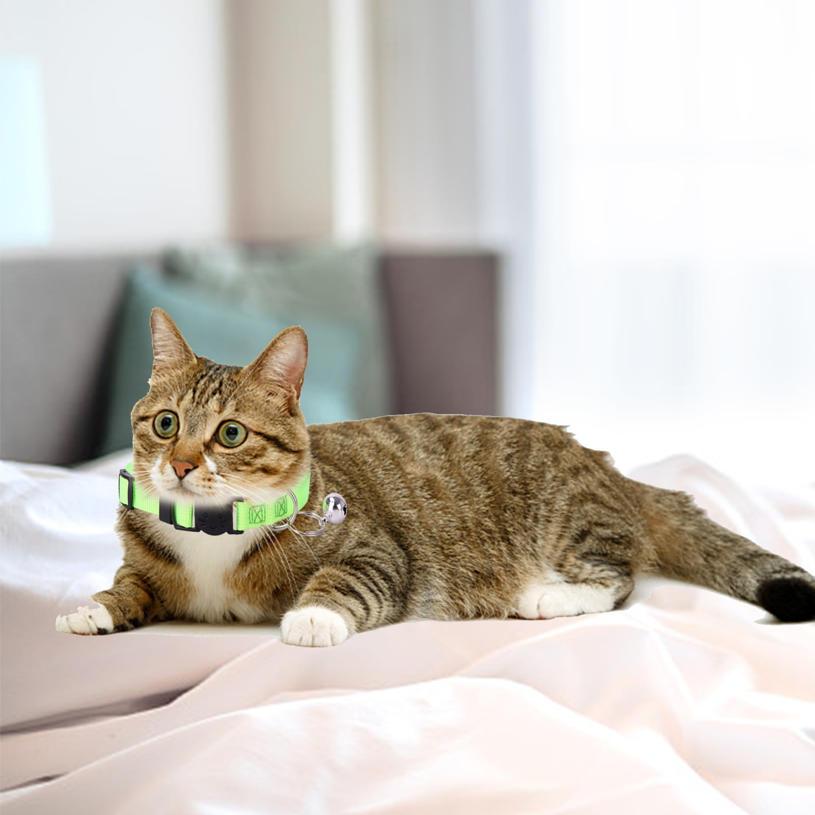 Necklace With Name 8 Color Off The Shelf Cat Can Be Broken Cat Callor ...