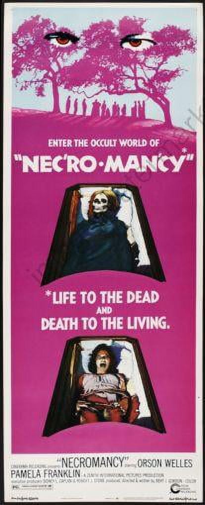 Necromancy Movie Poster Insert 14x36 Unframed, Age: Adults AB Posters ...