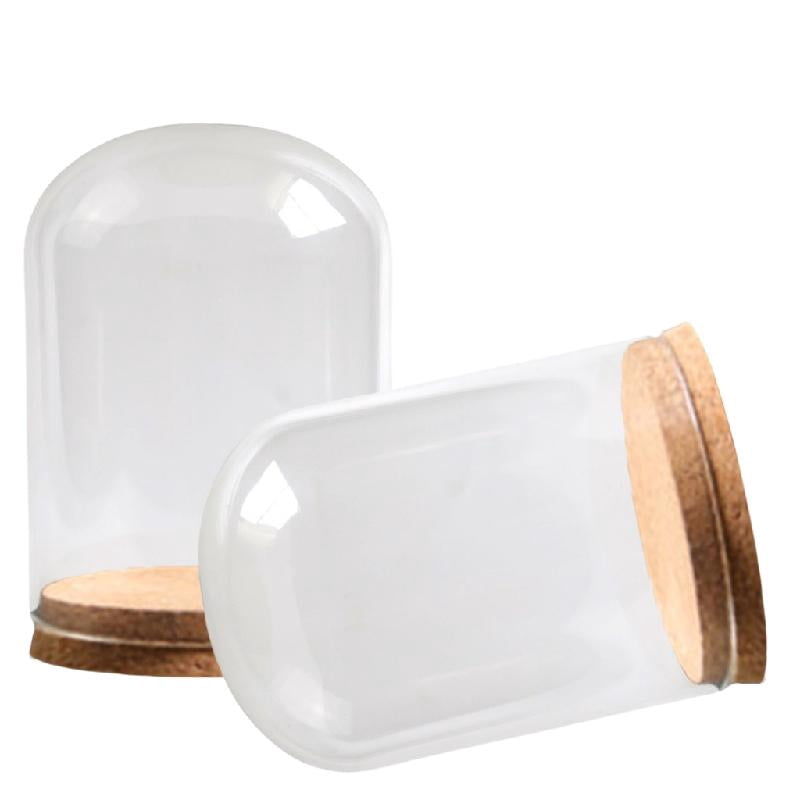 Necvior 2Pieces Mini Glass Display Covers Cloche Dome with Cork Base ...