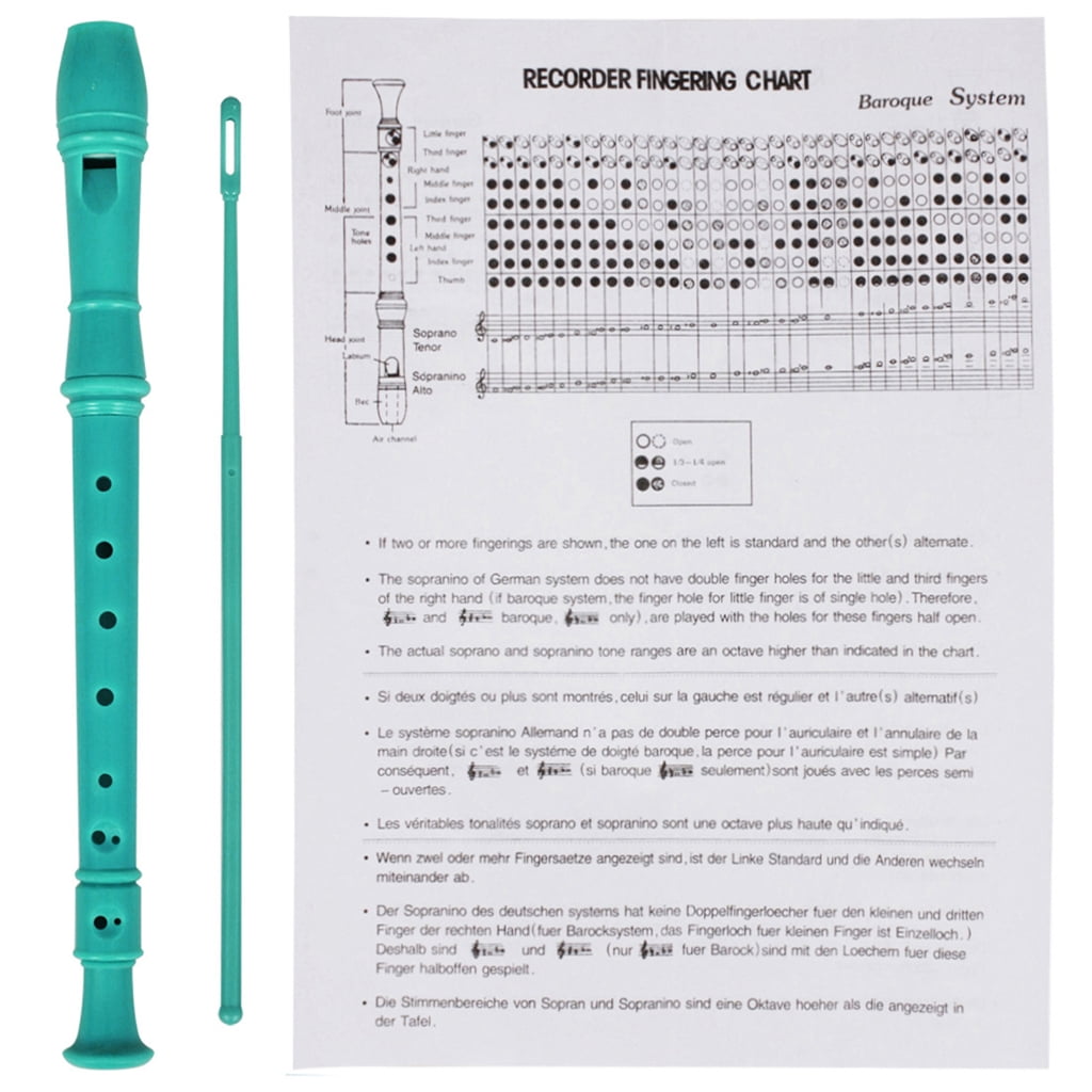 Necvior 8 Hole Flute with Cleaning Rod Soprano Recorder Clarinet ...