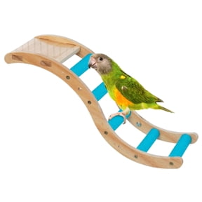 Bvdfgk Parrot Playstand Parrot Perch Stand Exercise Plat Toy with ...
