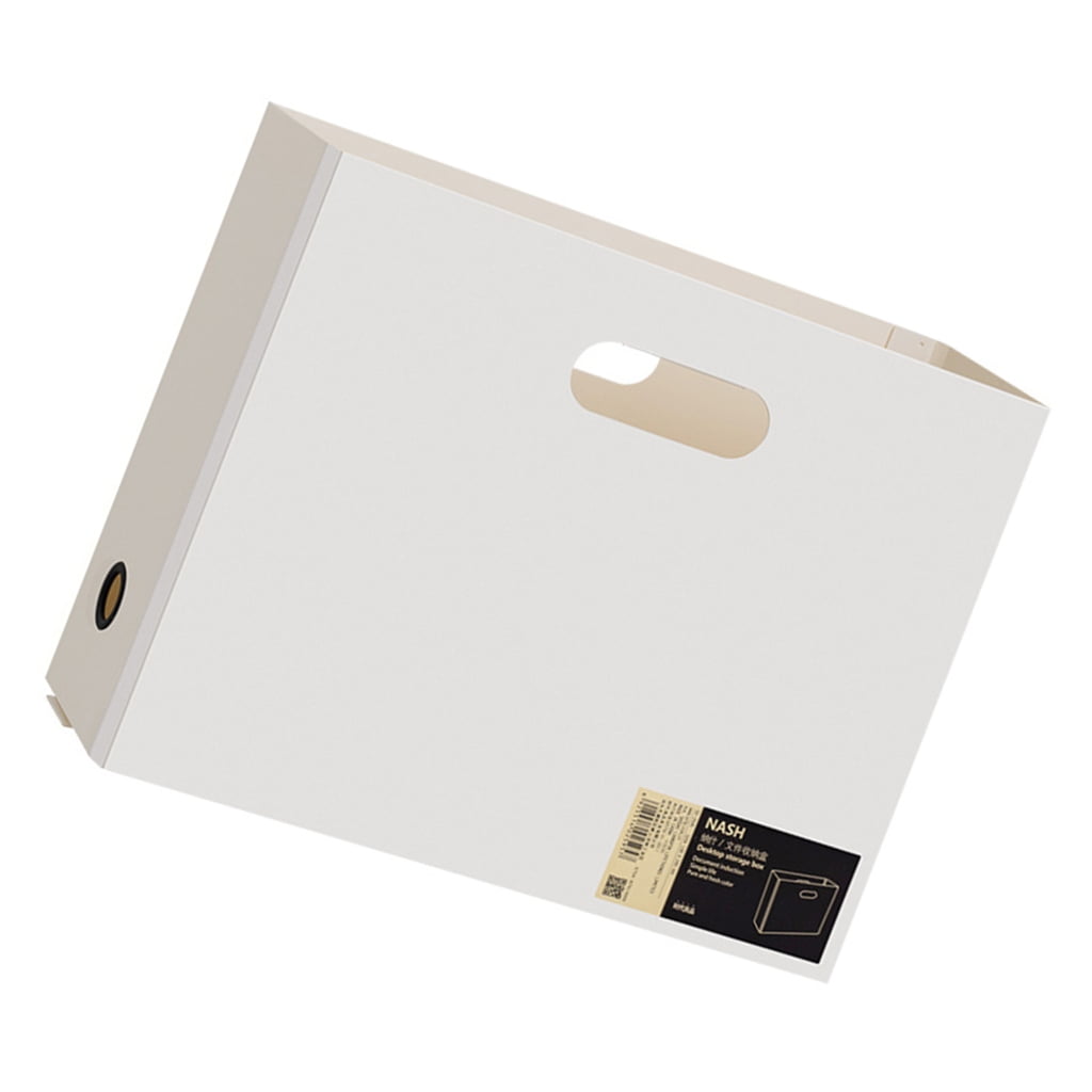 Necvior Plastic File Storage Box Large Capacity Desk Organizer File Box ...