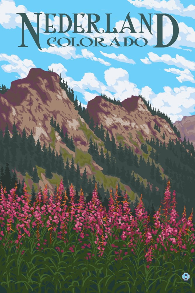 Nederland, Colorado, Fireweed and Mountains (16x24 Giclee Gallery Art ...