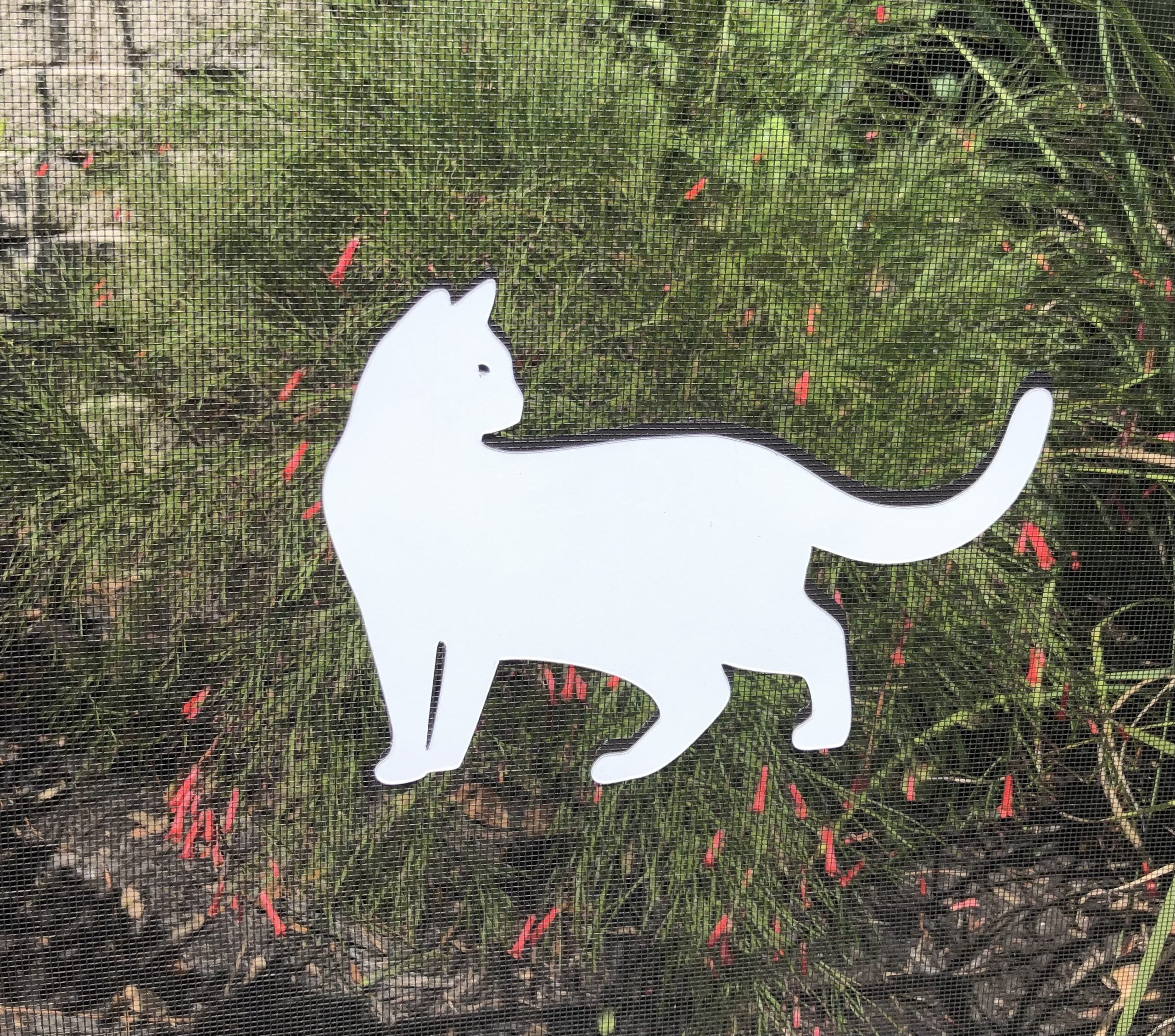 DCentral® Family Cat Flexible Vinyl Safety Screen Magnets: Double-Sided ...