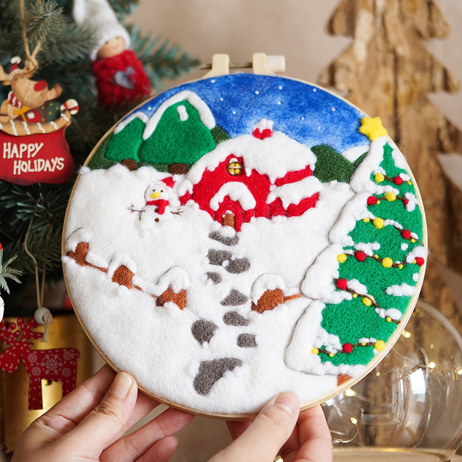 Needle Felting Kit Starter Set Needle Felt Supplies for Beginners with ...