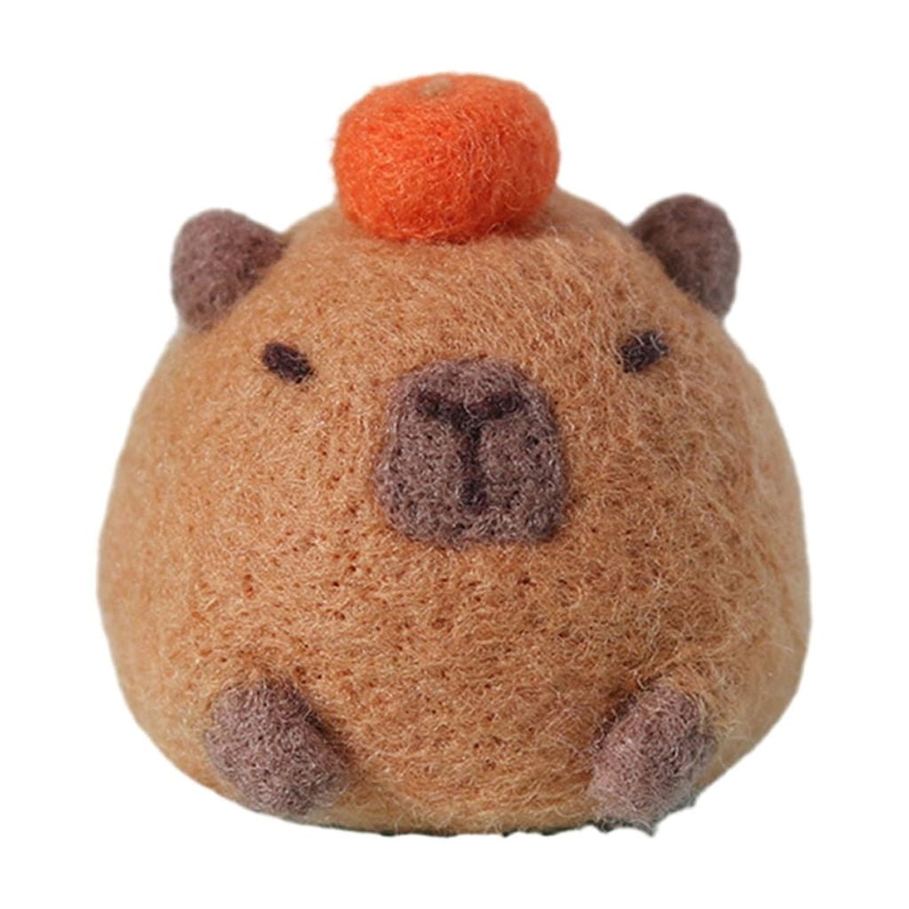 Needle Felting Starter Kits with Tool Instruction Capybara Wool Felting ...