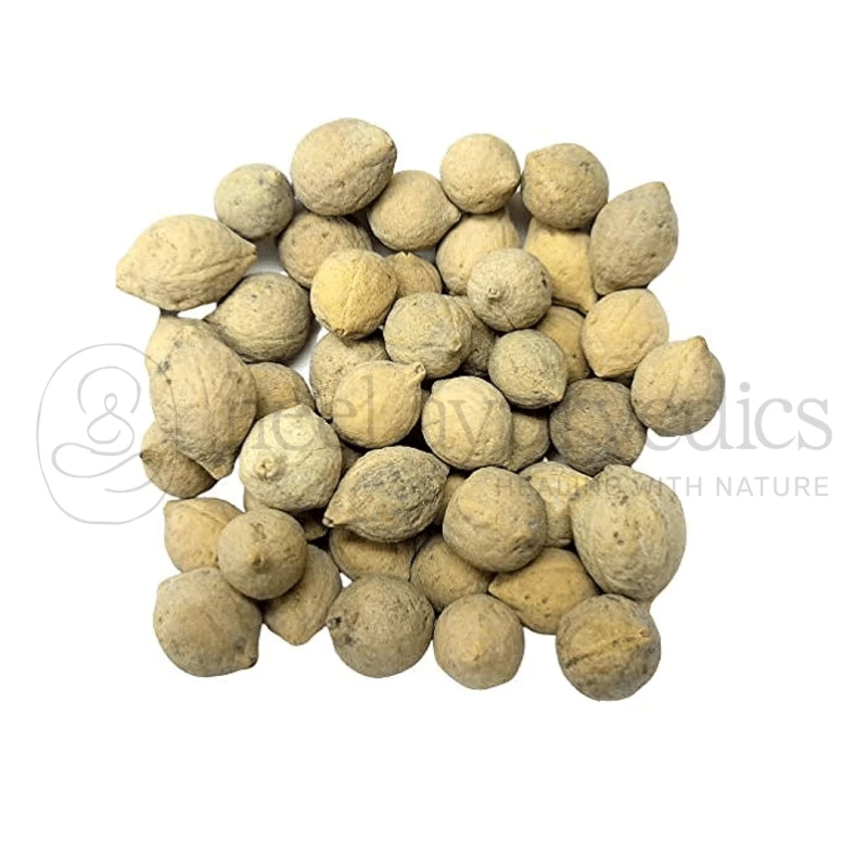 Neel Ayurvedics Putrajeevak Beej | Jiya Pota Seeds | Putra Jivak Beej ...