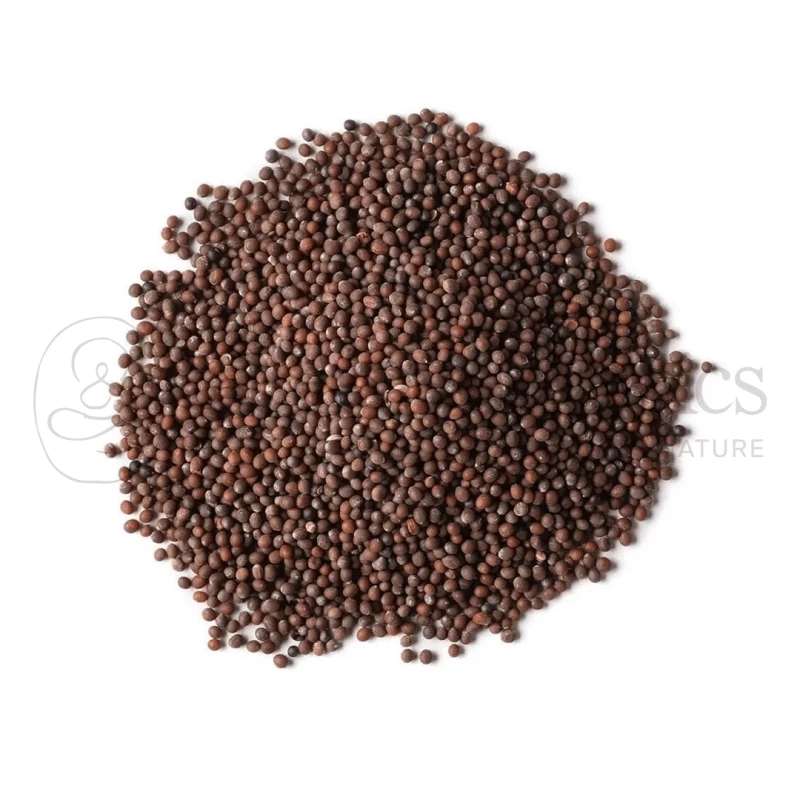 Neel Ayurvedics Sarsav Beej | Mustard Seeds | Sarso Beej ...