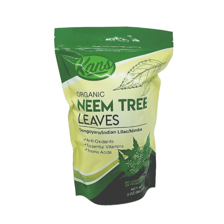 Neem Tree Leaf