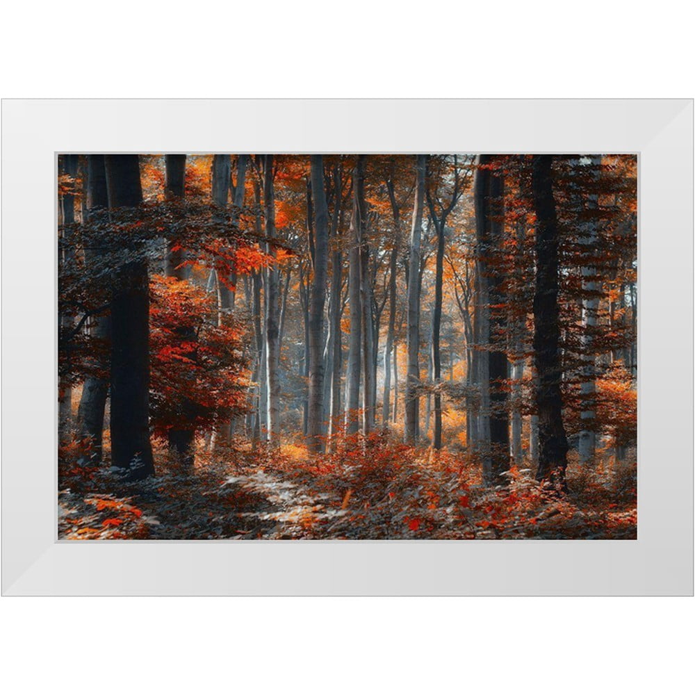Neer, Ildiko 14x11 White Modern Wood Framed Museum Art Print Titled ...