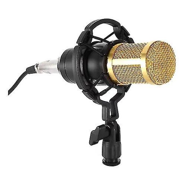 Neewer Nw-800 Professional Studio Broadcasting & Recording Microphone ...