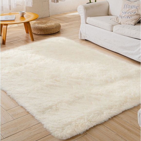 10x12 Area Rug