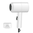 Negative Ion Hair Dryer Portable High Power Household Electric Hair