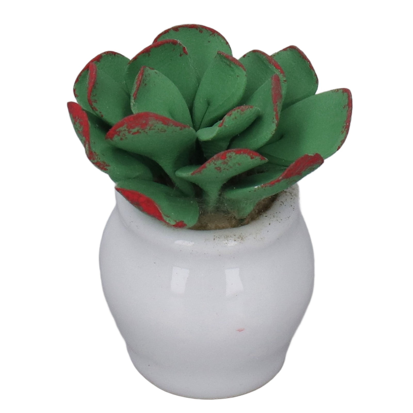 Nehlobo Miniature Potted Plants Small Portable Scale Vivid Decorative Diy Making 3cm High