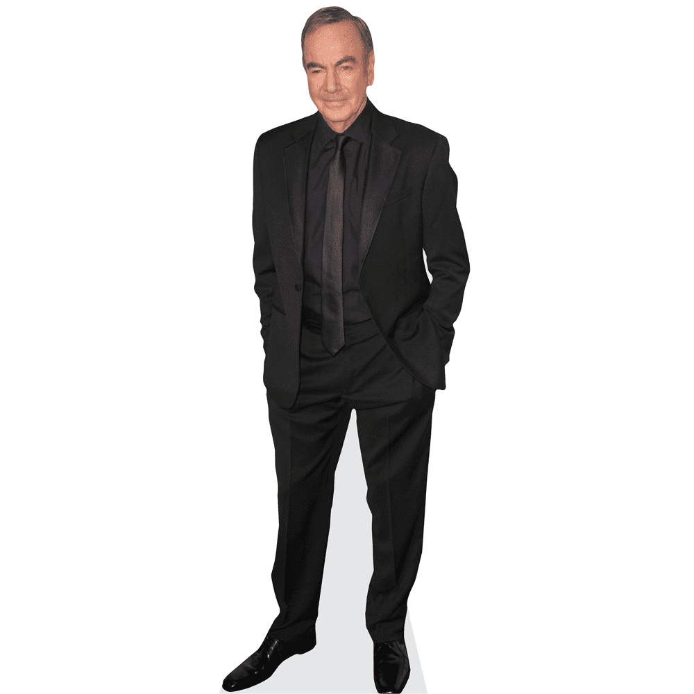 Neil Diamond Mini Cardboard Cutout Standee - Walmart.com