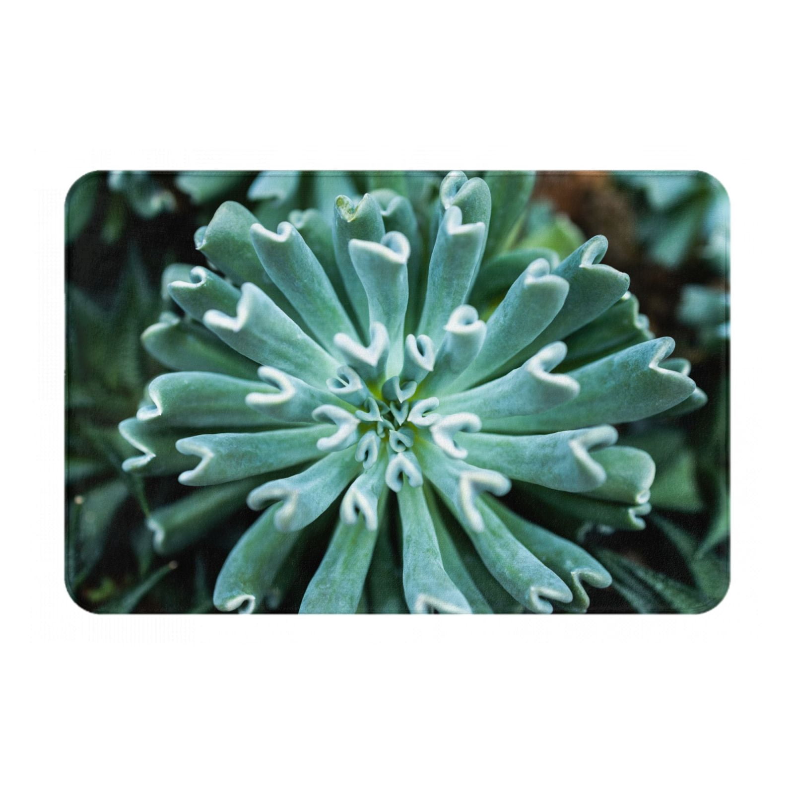 Nelaau Teal Cactus Print Flannel Anti-slip Floor Mat 16x24in, Thick ...