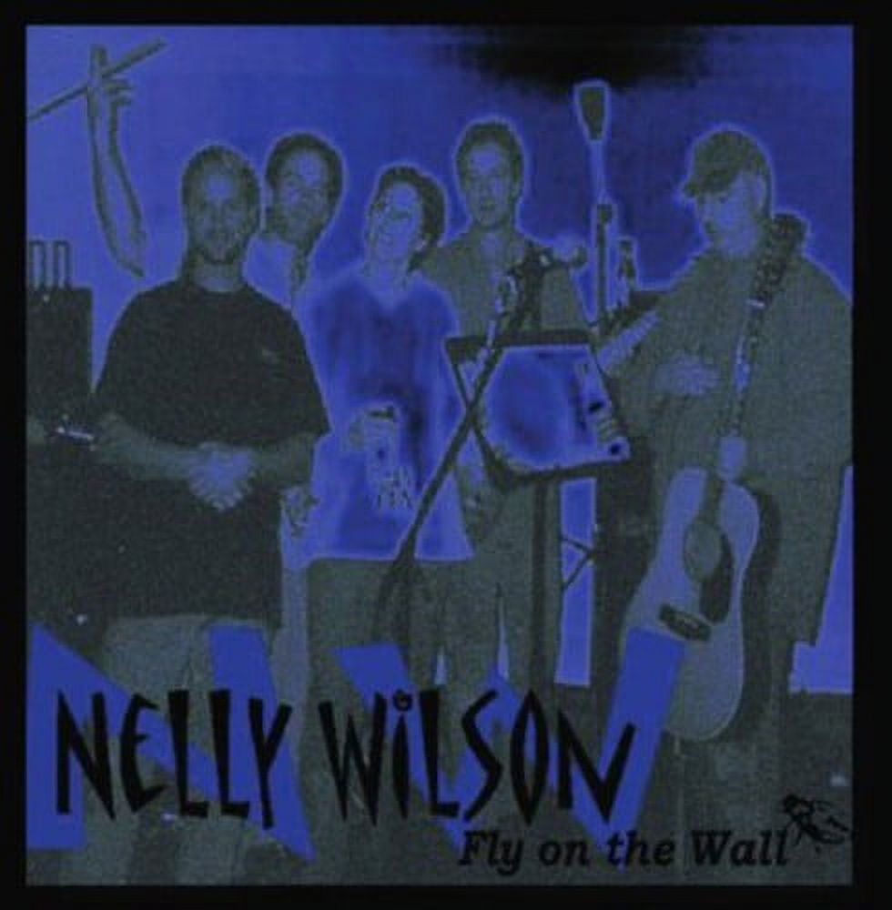 Nelly Wilson - Fly on the Wall - Music & Performance - CD - Walmart.com