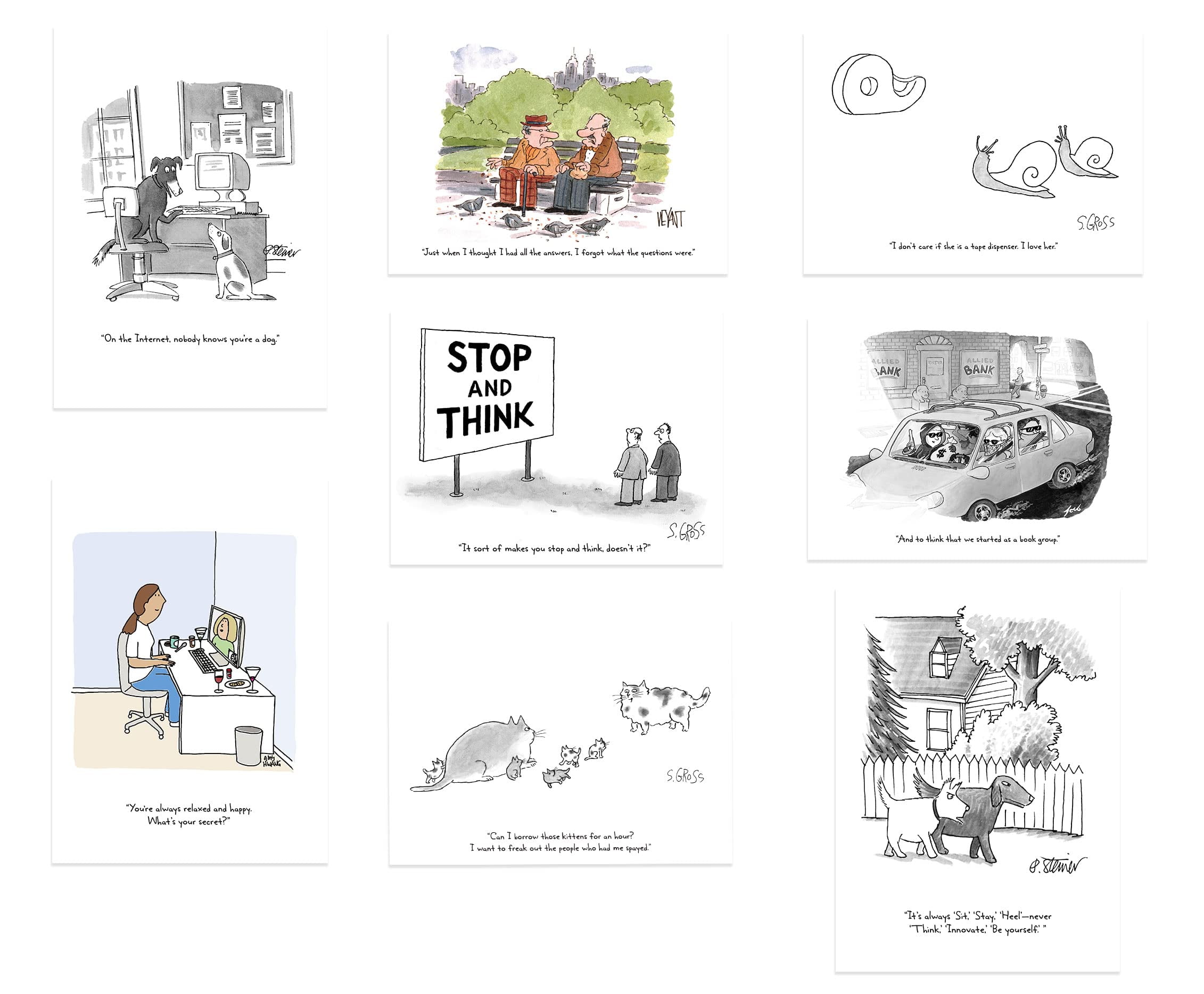 Nelson Line 8-Count Blank Greeting Cards & Envelopes - Birthday ...