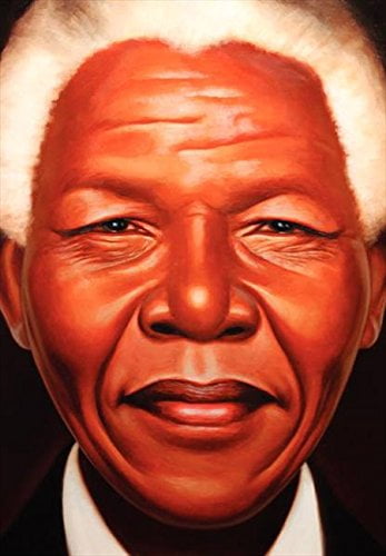 Pre-Owned Nelson Mandela (Library Binding) 0061783765 9780061783760 ...