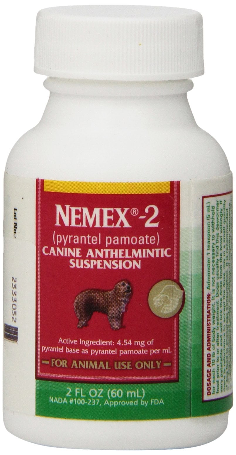 Nemex 2 Dewormer for Dogs 2 Ounce - Walmart.com